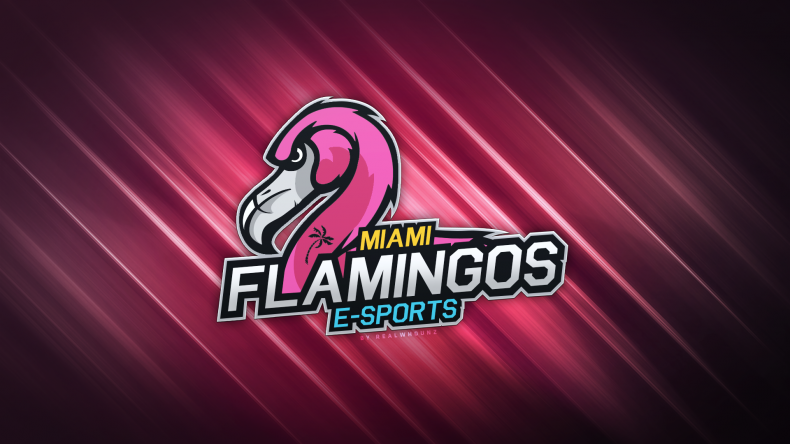 Miami Flamingos recibe cambios en su roster - Planeta Gaming